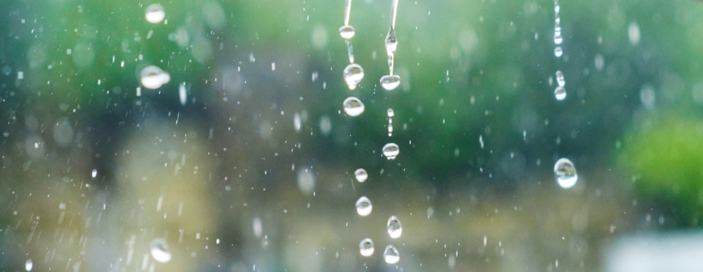 Wildkamp - Technische groothandel voor vakman en handige particulier